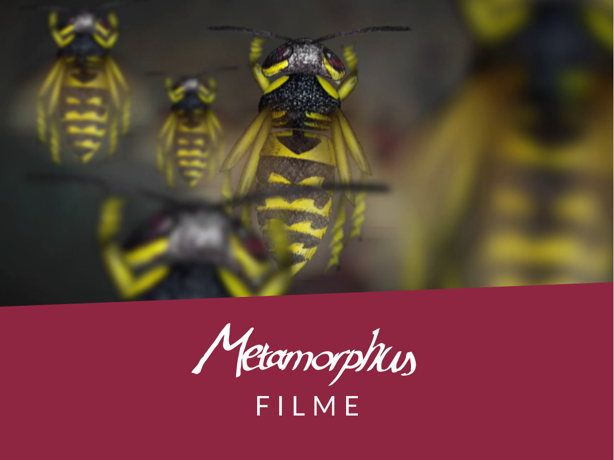 Filme | Metamorphus
